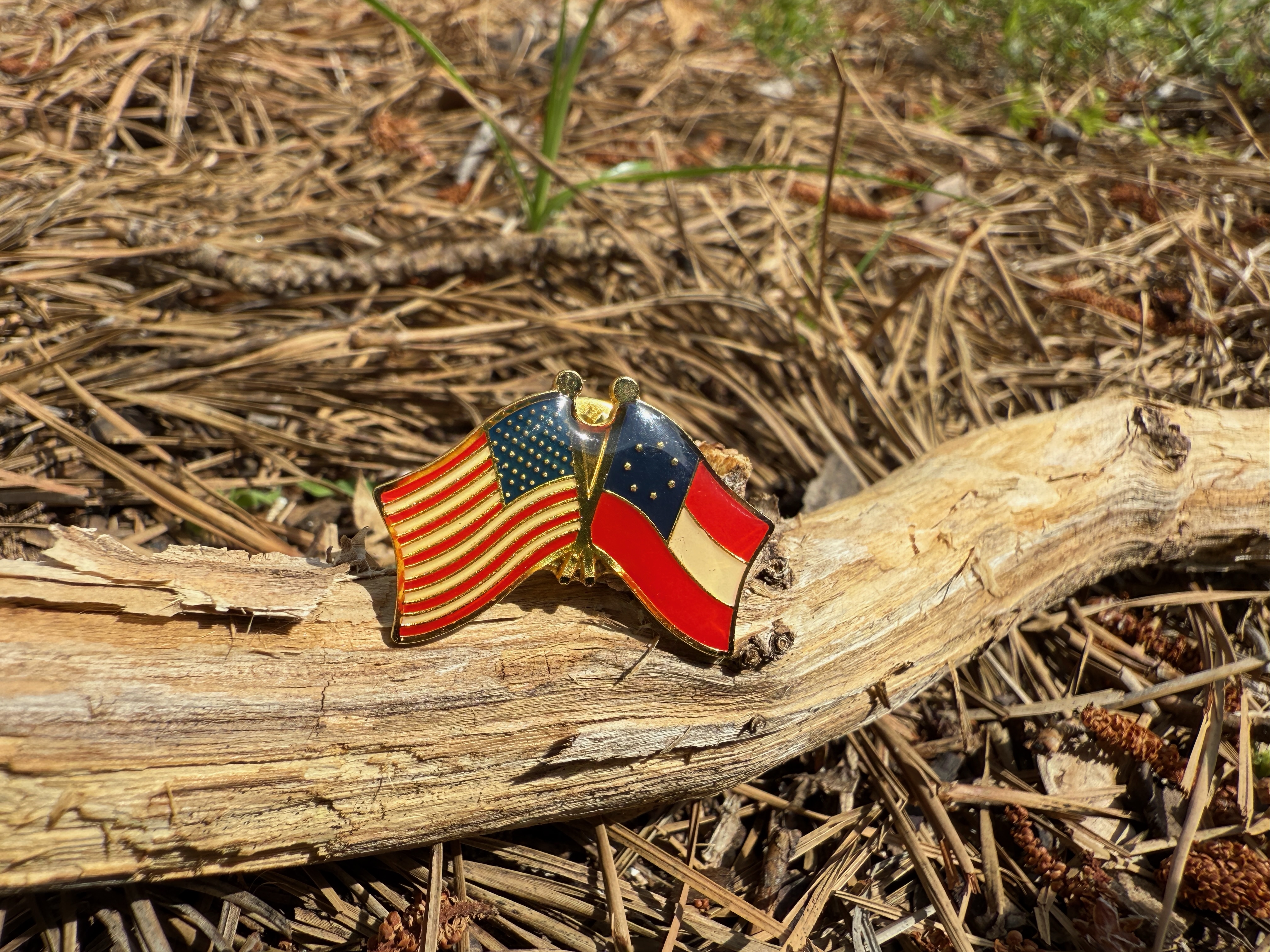 1st National Confederate USA Pin - Rebel Nation