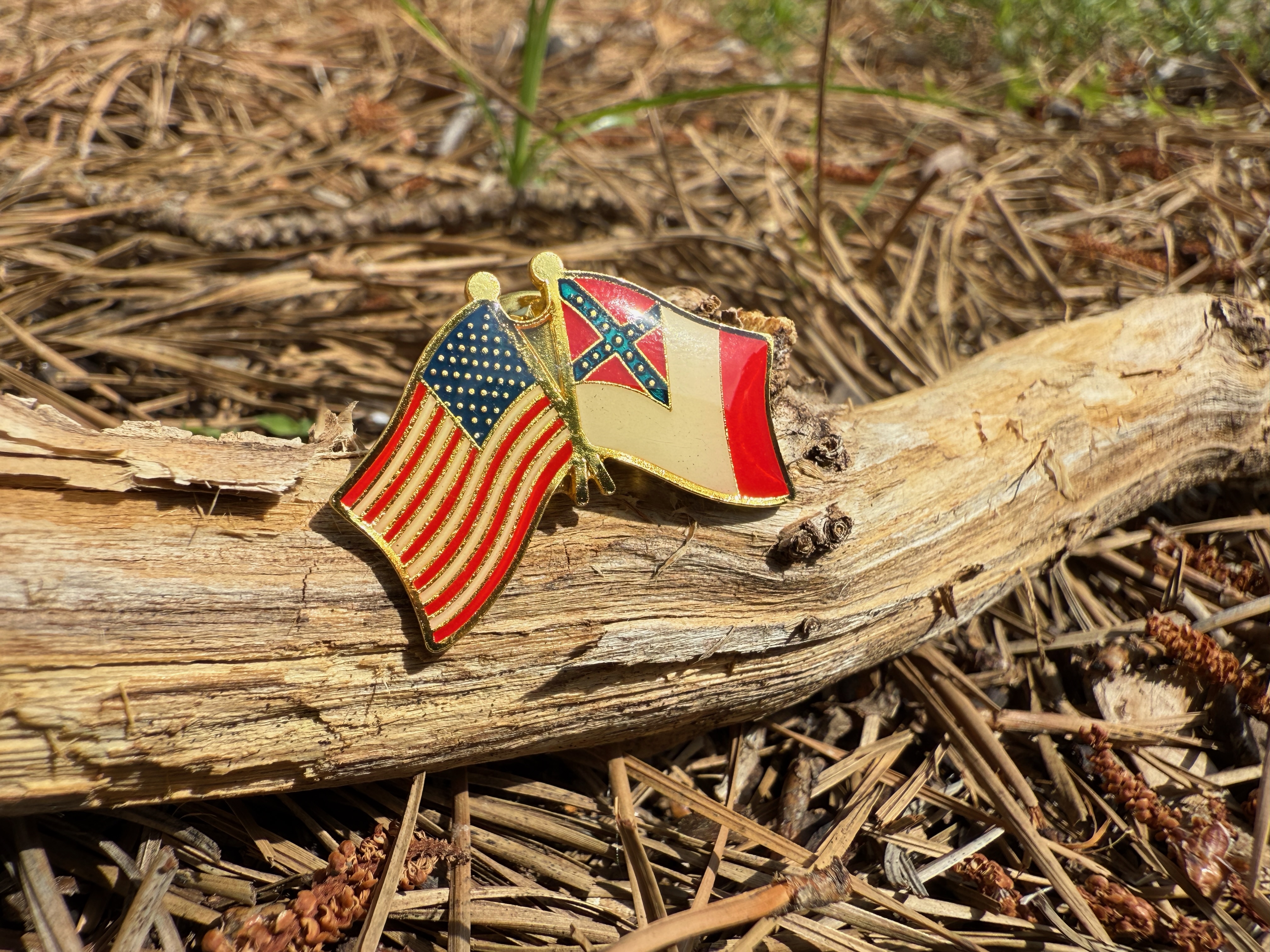 3rd National Confederate USA Pin - Rebel Nation